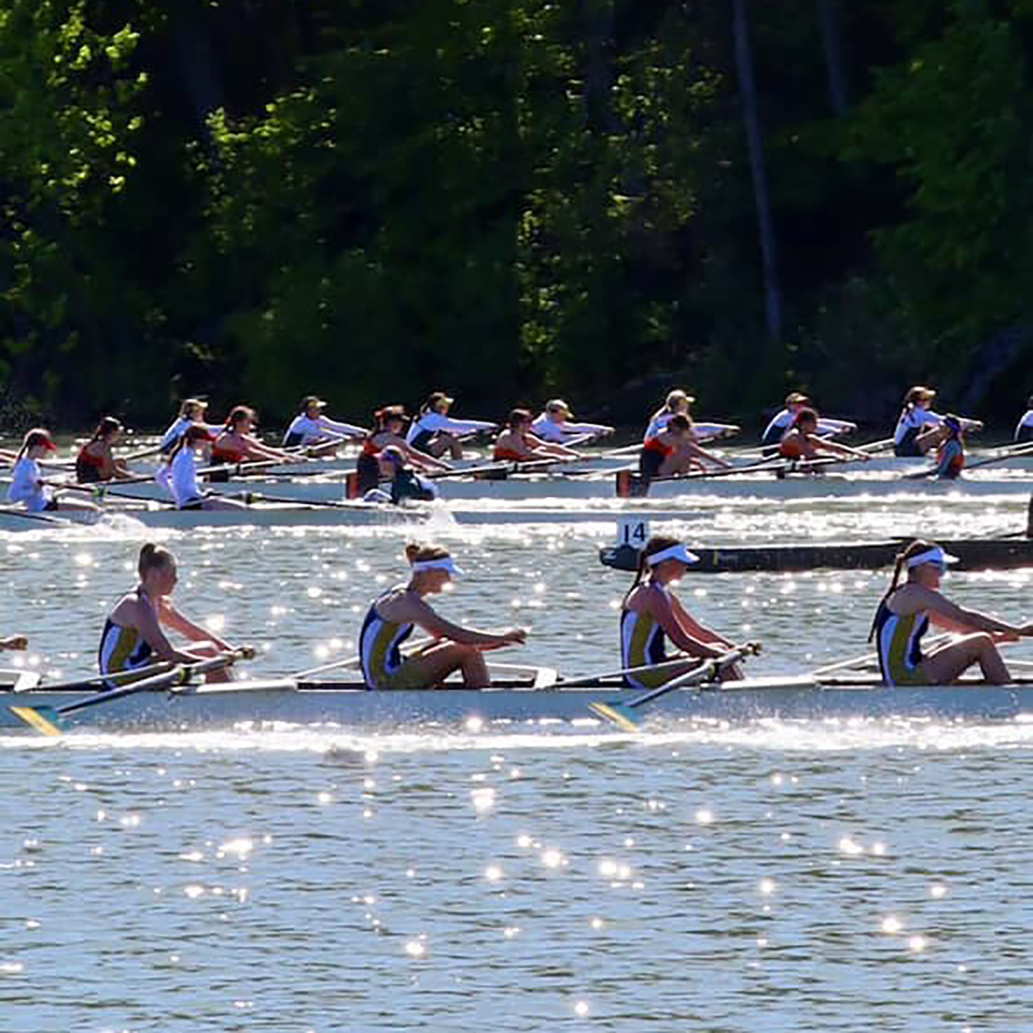 Weekend Wrap: CSSRA Championships Headline Weekend in Canadian Rowing ...